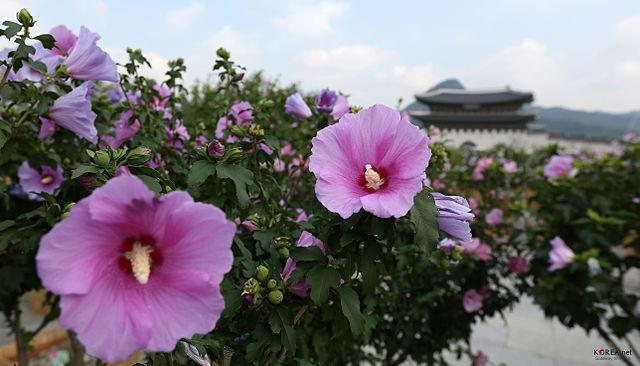 The Natural Beauty of South Korea | Reach the World